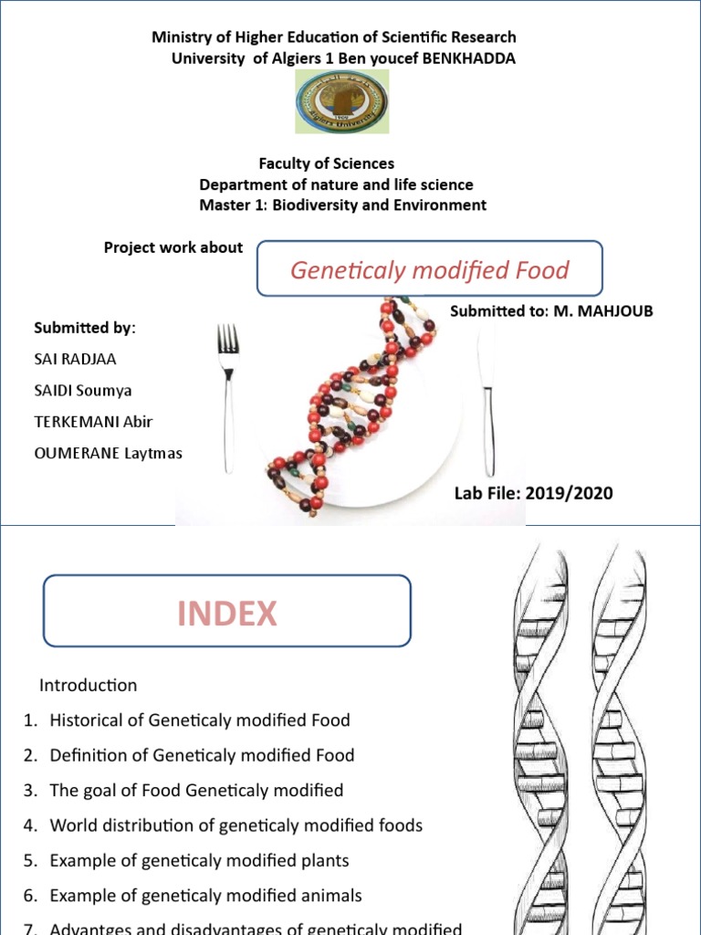 Généticaly Modified Foods | PDF | Genetic Engineering | Genetically ...