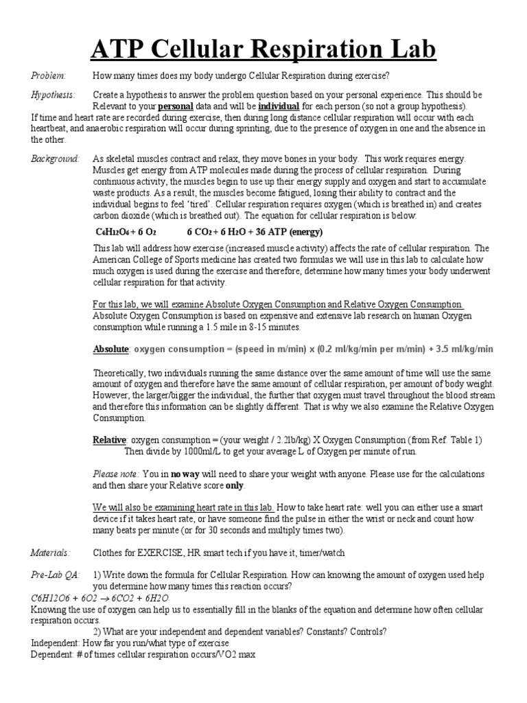 Cellular Respiration in Exercise Lab | PDF