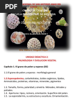 3 El Grano de Polen - Morfología, Estructura y Diversidad | PDF | Polen ...
