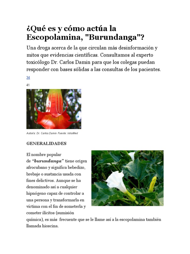 Burundanga | PDF | Medicina | Bienestar