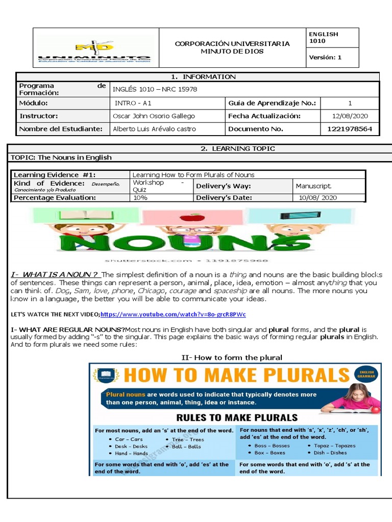 Nouns - Main Grammar Element | PDF | Plural | Noun