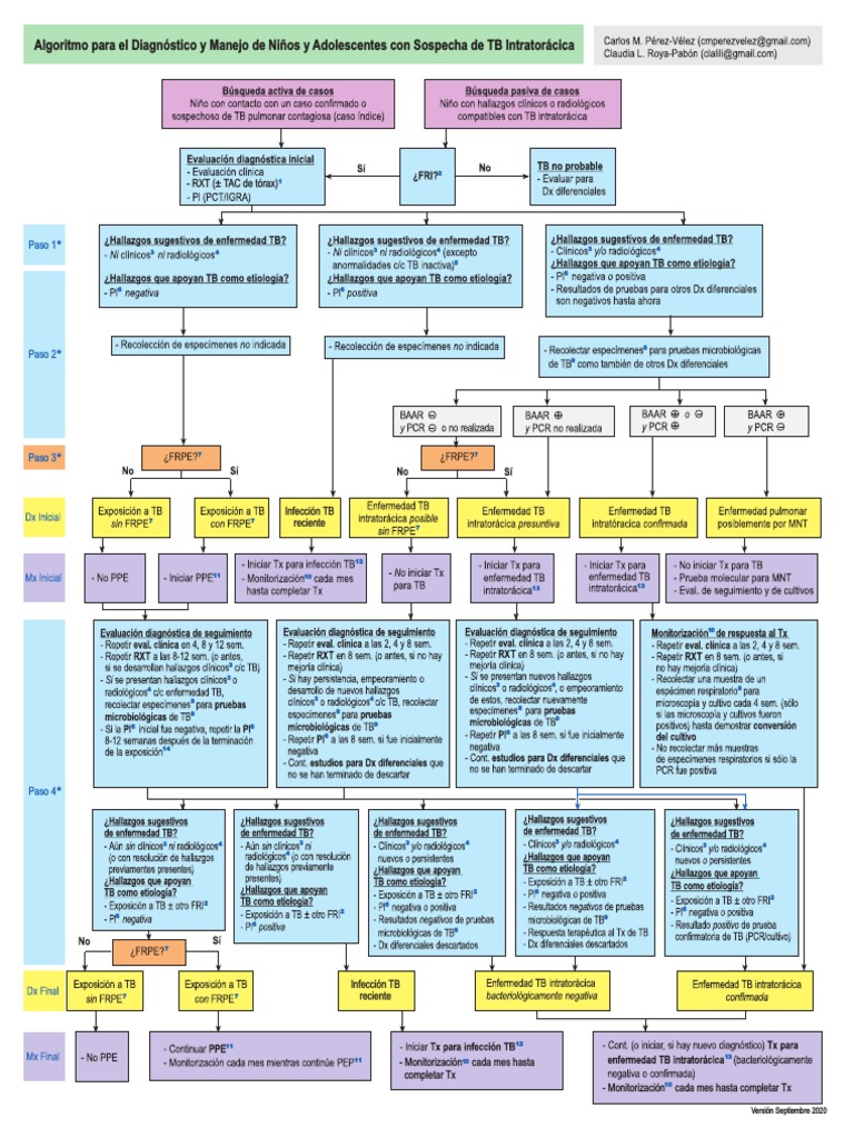 Algoritmo TB 2020 Sept 11 PDF | PDF | Tuberculosis | Salud pública