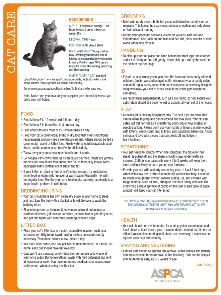 Cat Edu | PDF | Cats | Neutering