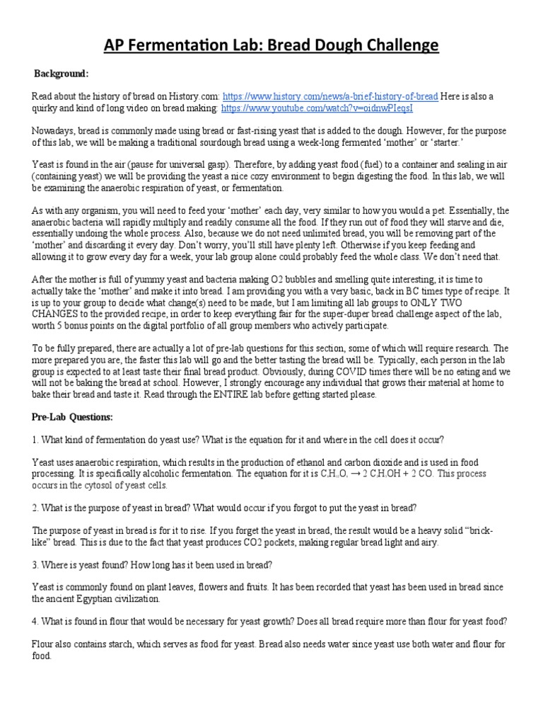 Fermentation Bread Lab Ap Bio | PDF | Breads | Yeast