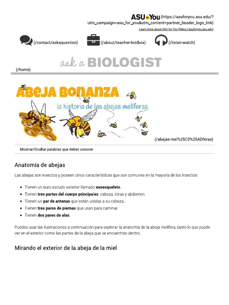 Anatomía de La Abeja - KSU - ES | PDF