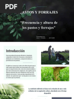 Ficha Técnica Del Pasto Imperial (Axonopus Scoparius, Hitchc) | PDF ...