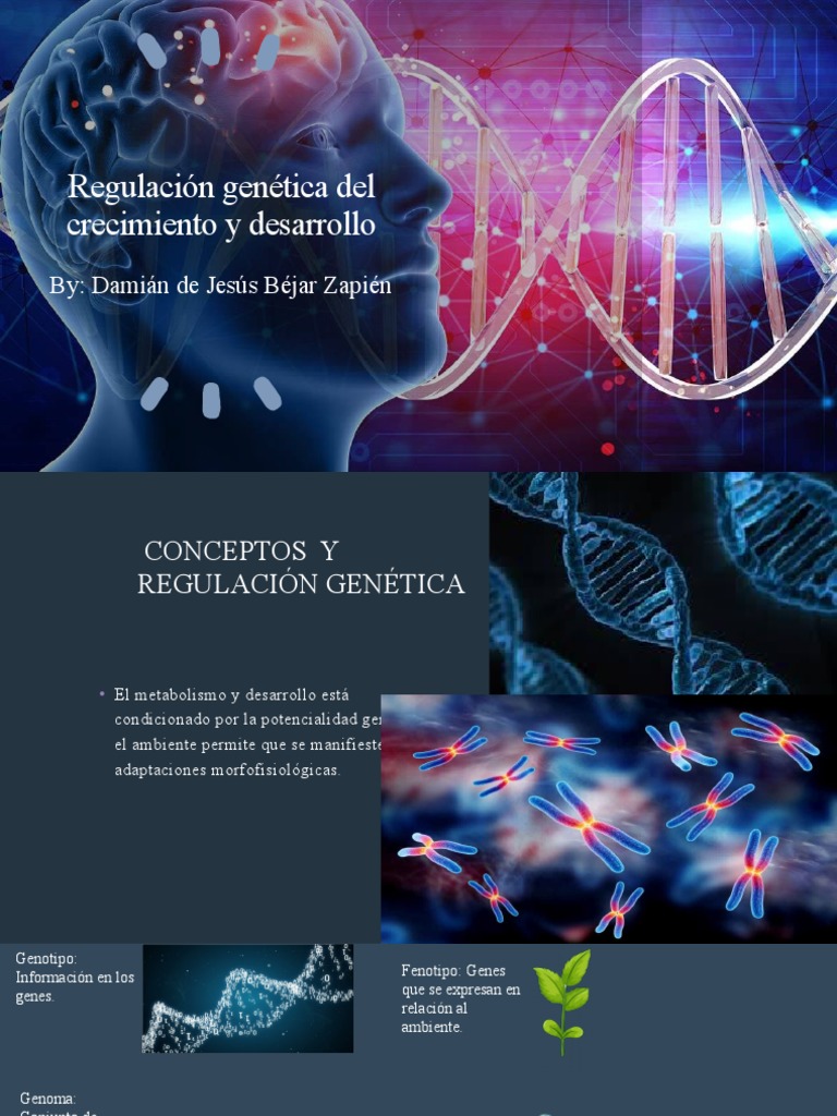 Regulación Genética Del Crecimiento y Desarrollo | PDF | Mutación | Gene