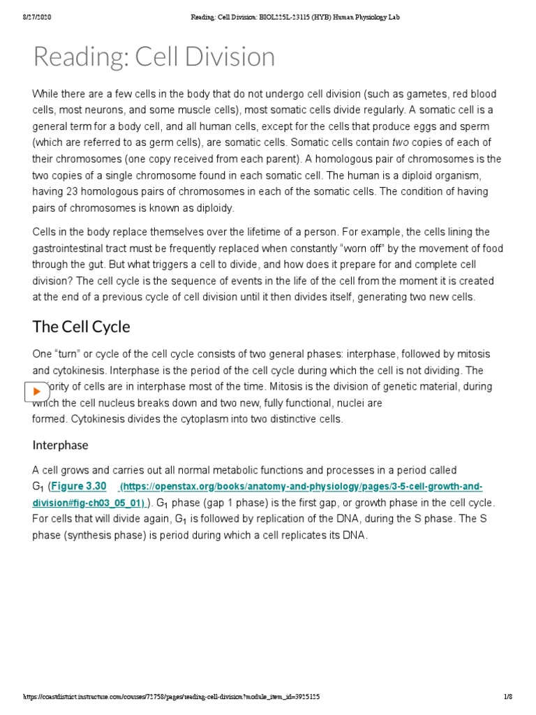 The Stages of the Cell Cycle: An In-Depth Examination of Interphase ...