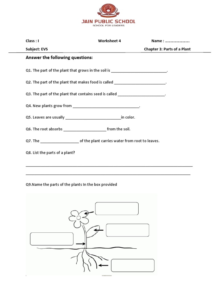Answer The Following Questions:: Class: I Worksheet 4 Name: Subject ...