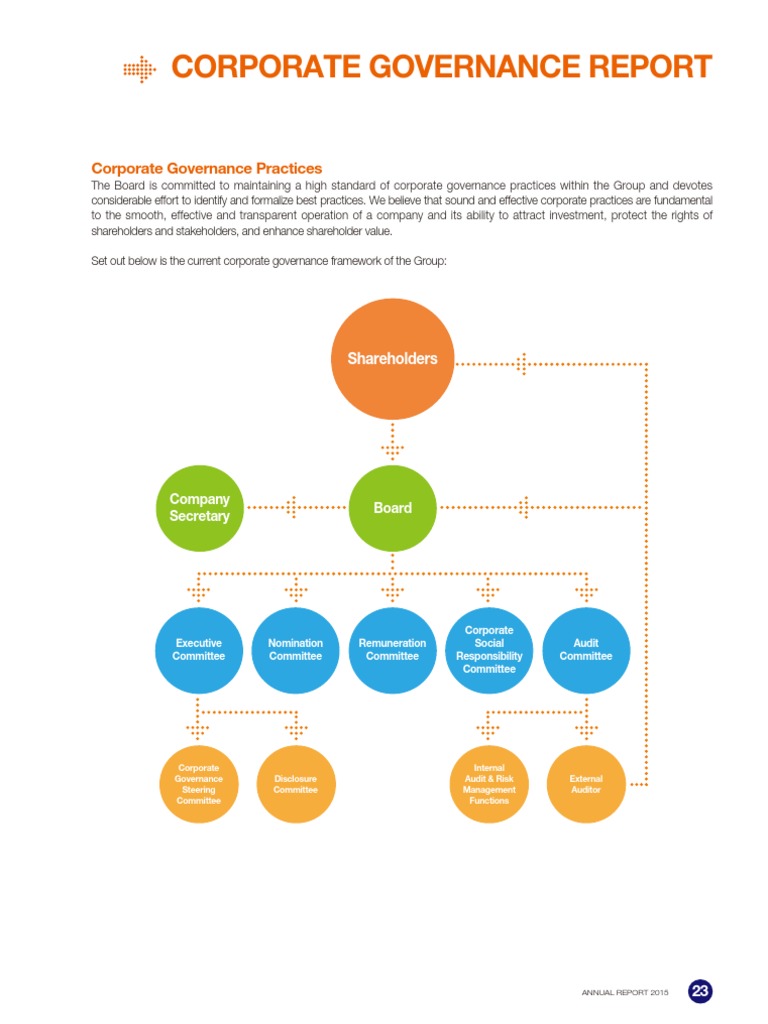 Corporate Governance Report | PDF | Internal Control | Audit Committee
