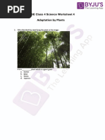 worksheet-Class-4-Teeth-and-digestion-b | PDF | Tooth | Digestion