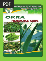 Okra Production Guide - Beta - 356244 | PDF | Compost | Sowing