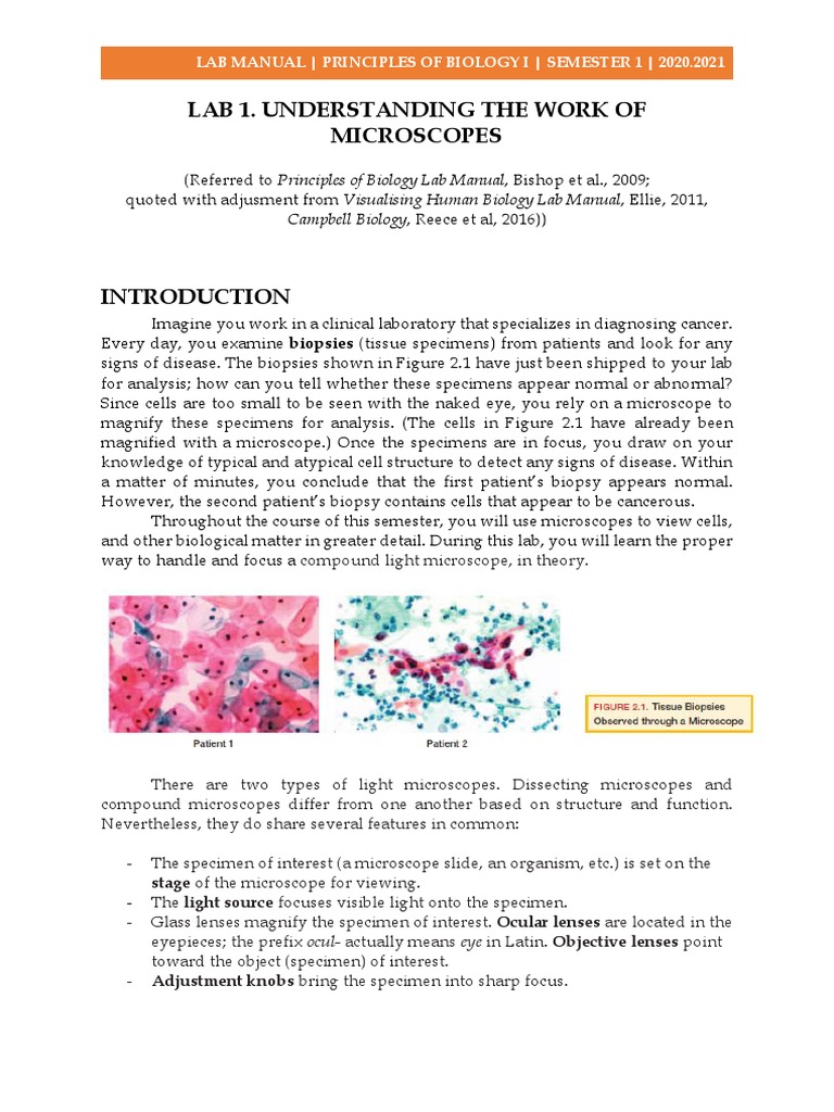 Lab 1. Understanding The Work of Microscopes: Campbell Biology, Reece ...