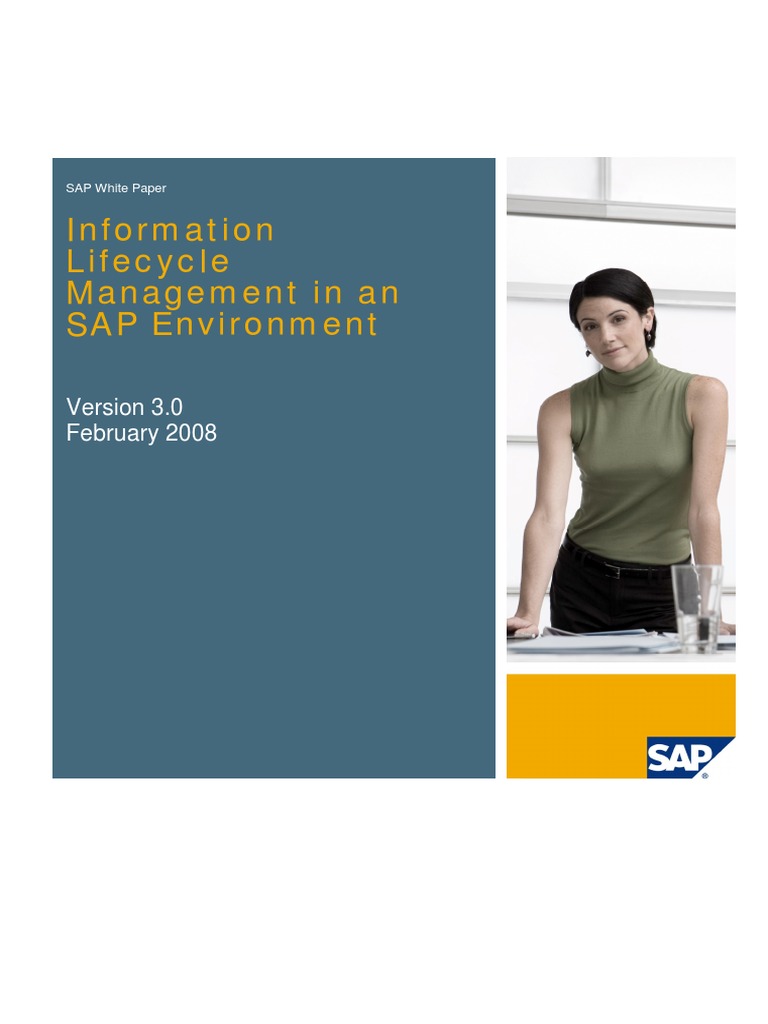 Information Lifecycle Management In An Sap Environment February 2008 Pdf Databases