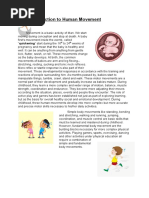 Phases of Movement in Sports Skills | PDF | Sports | Recreation