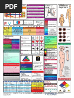 Protocolo MARCH TASTICO | PDF