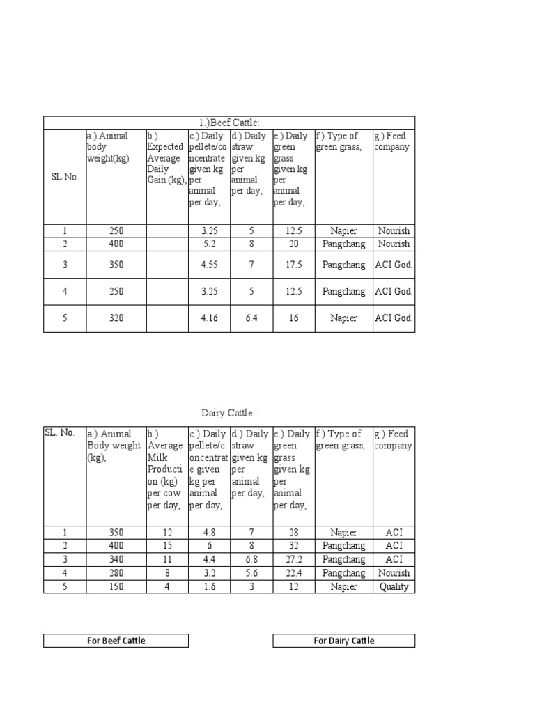 Cattle Feed Calculation | PDF | Dairy Cattle | Cattle