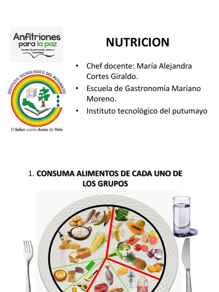 Rotafolio Guias Alimentarias PDF | PDF | Alimentos | Vegetales