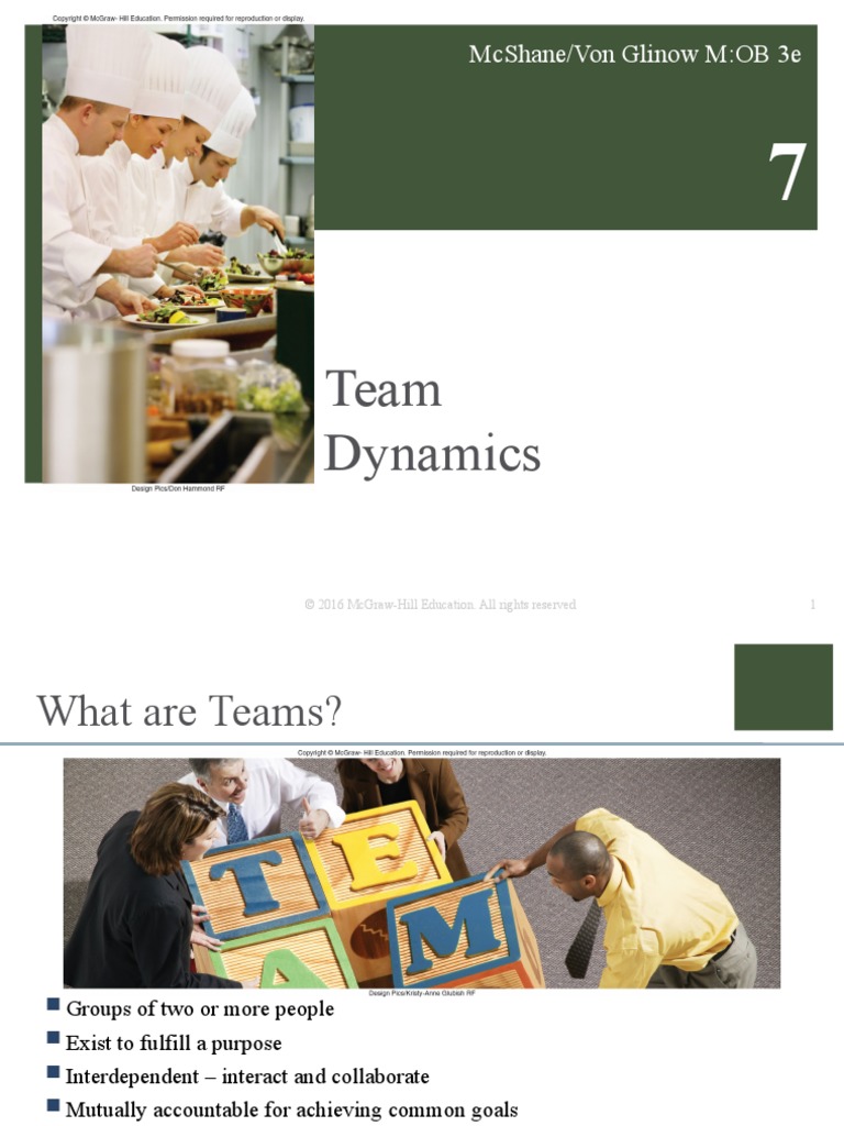 Team Dynamics: Mcshane/Von Glinow M:Ob 3E | Download Free PDF ...