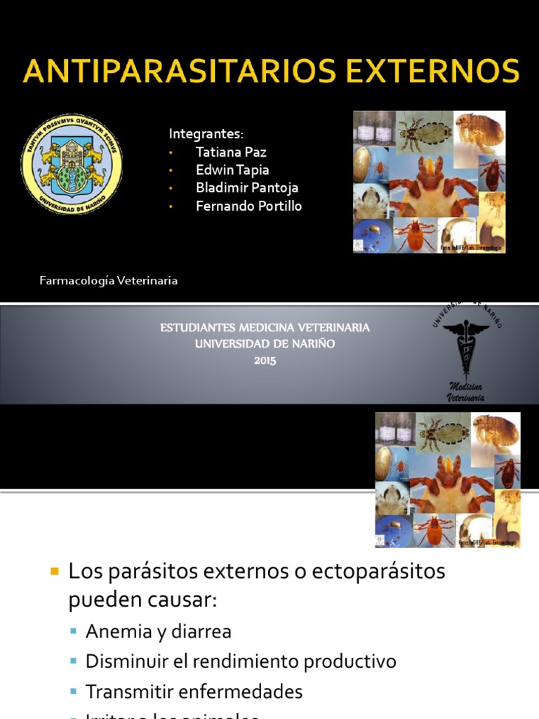 Integrantes: Tatiana Paz Edwin Tapia Bladimir Pantoja Fernando Portillo ...