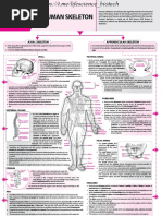 Level 2 Anatomy and Physiology 50 Mock Questions + Answers | PDF ...