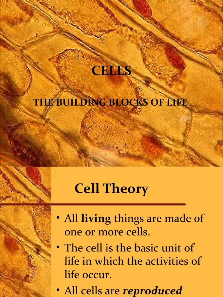Cells: The Building Blocks of Life | PDF | Cell Growth | Cell (Biology)