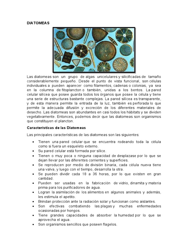 DIATOMEAS | PDF | Biología Celular) | Fotosíntesis