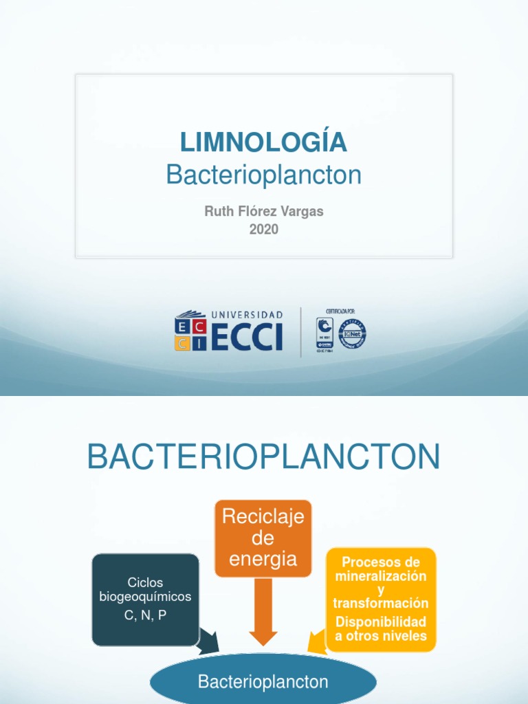 Bacterioplancton 2020-2 Es PDF | PDF | Pseudomonas | Archaea
