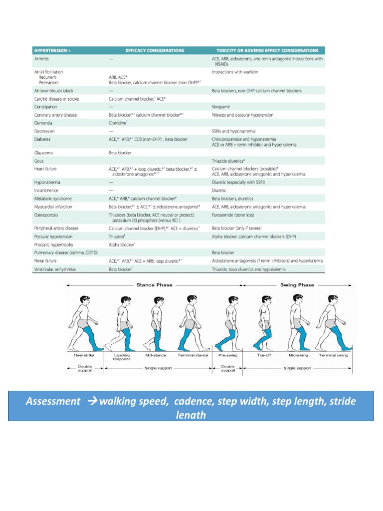 Walking Speed and Gait Assessment Metrics | PDF