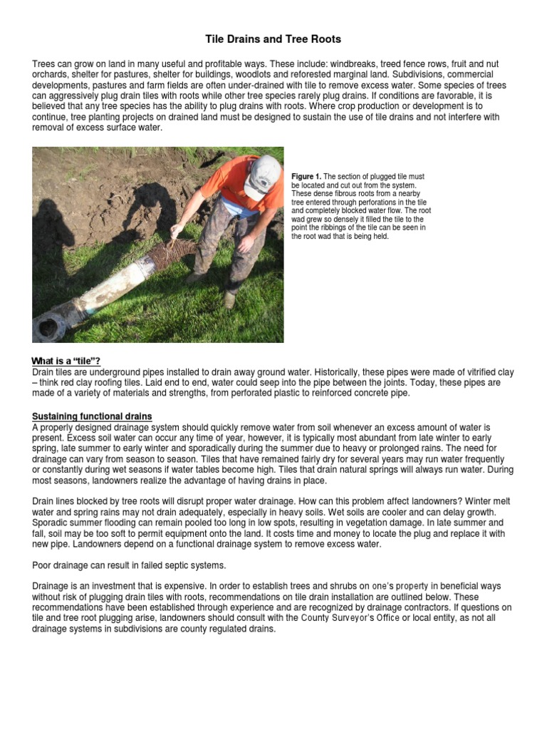 Tile Drains and Tree Roots: What Is A "Tile"? | PDF | Drainage | Soil