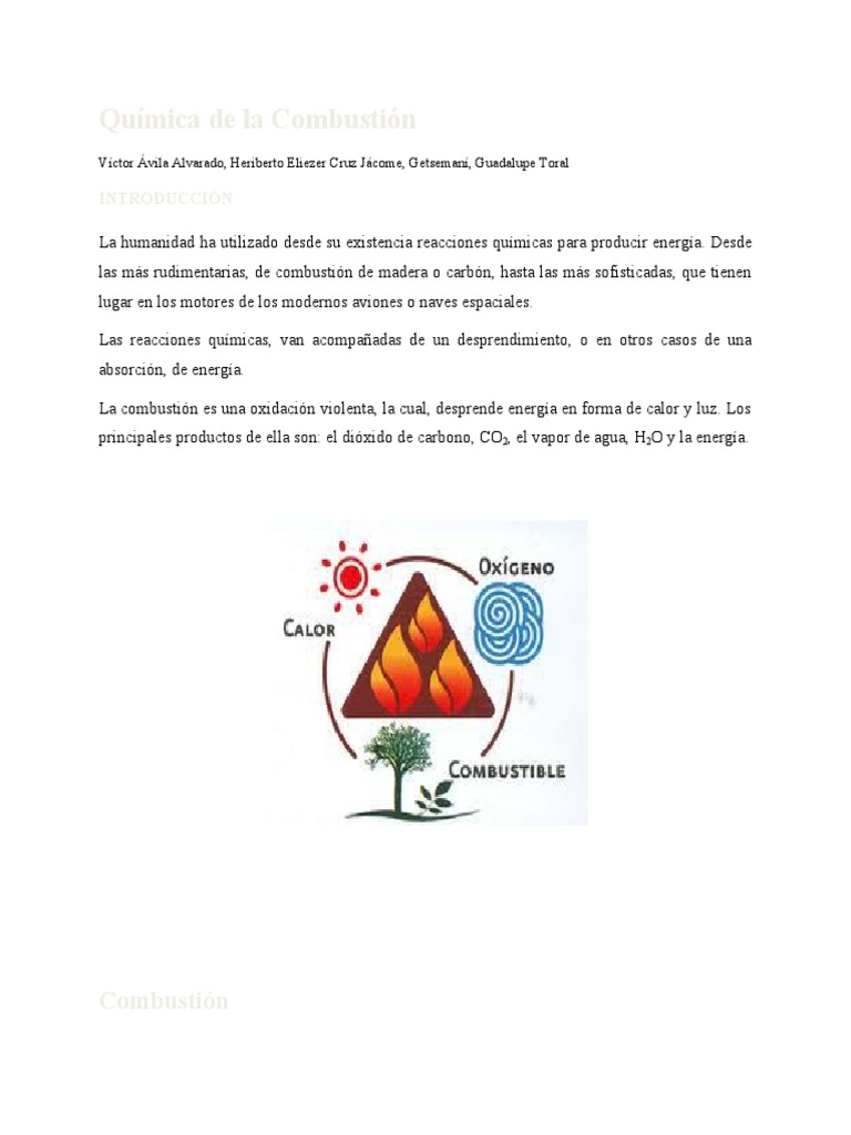 Fundamentos de la Combustión Química | PDF | Combustión | Combustibles