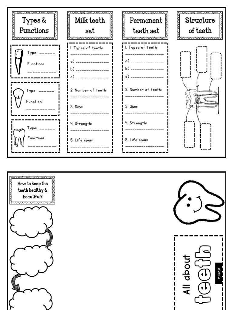 All About Teeth Template | PDF