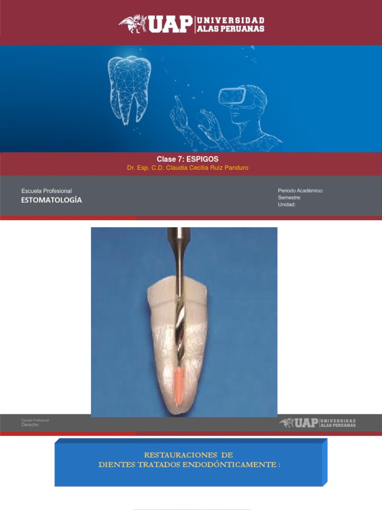 Clase 7: ESPIGOS: Dr. Esp. C.D. Claudia Cecilia Ruiz Panduro | PDF ...