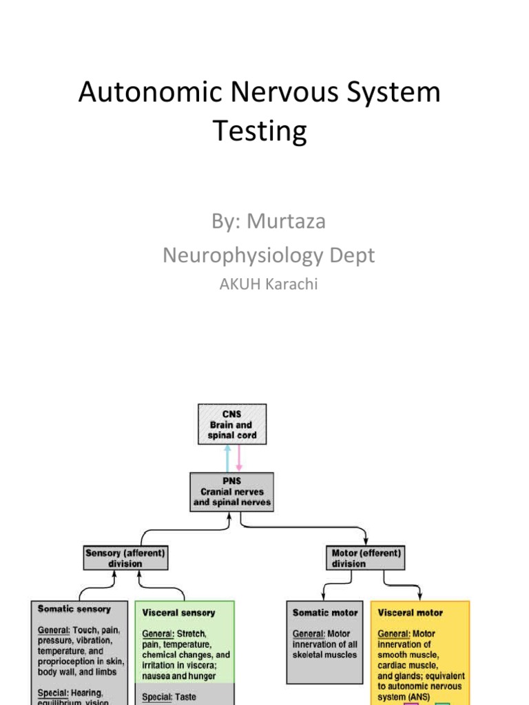 Comprehensive Evaluation Of Autonomic Nervous System Function Through Clinical Testing Pdf