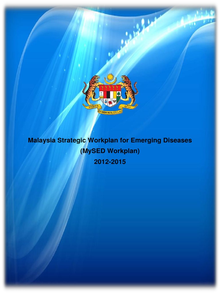 MYSED Workplan 2012-2015 PDF | PDF | Public Health | Risk