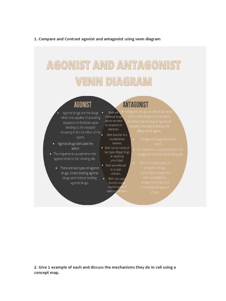 Compare and Contrast Agonist and Antagonist Using Venn Diagram | PDF