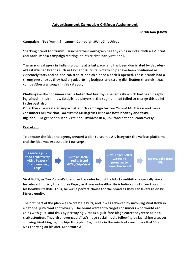Advertisement Campaign Critique Assignment | PDF | Brand | Potato Chip