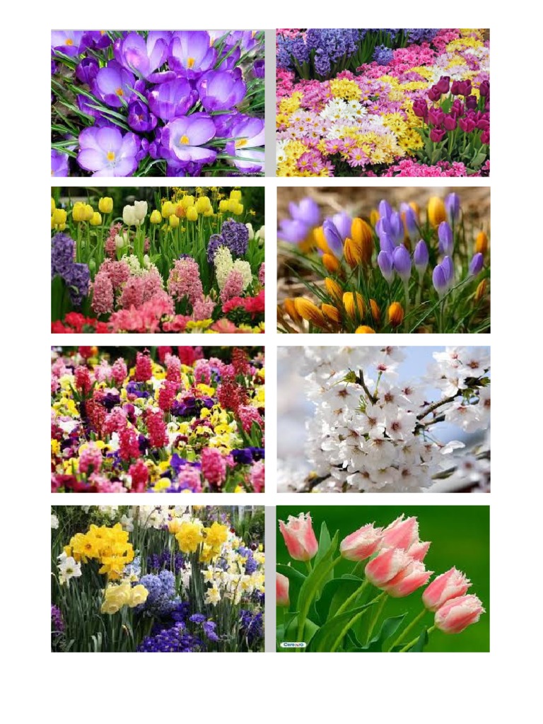 Modele Felicitari PDF | PDF