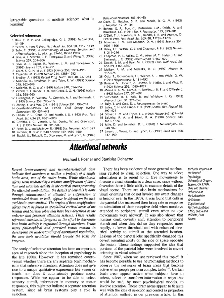 Posner Attentional Networks | PDF | Visual Cortex | Attention