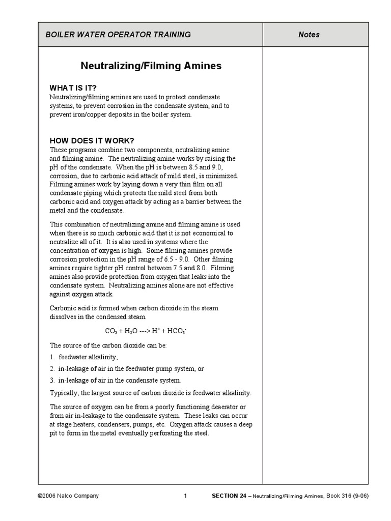 Section 24 Neutralizing Filming Amines | PDF | Boiler | Corrosion