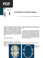 Using - Dentition To Age Cattle | PDF | Tooth | Dentistry