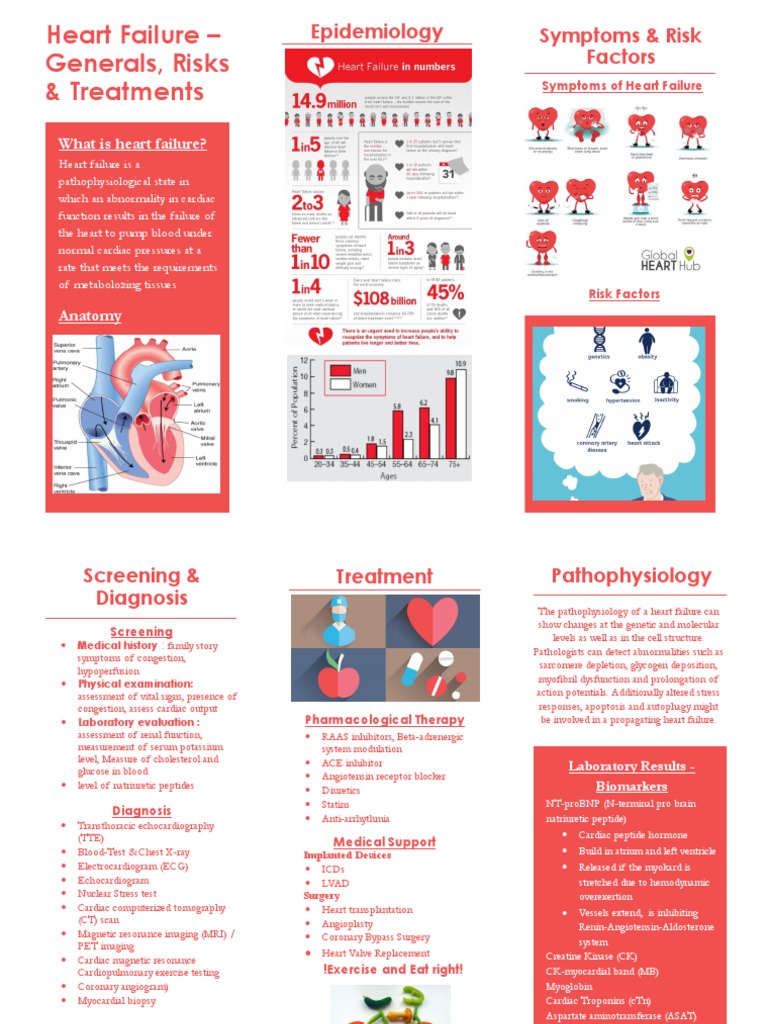 Heart Failure Brochure | PDF | Heart Failure | Heart