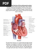 Cusack Protocol .. Supplement Dosages Information Chart. Word PDF | PDF ...