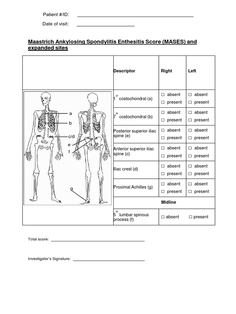 Maastrich Ankylosing Spondylitis Enthesitis Score (MASES) and Expanded ...