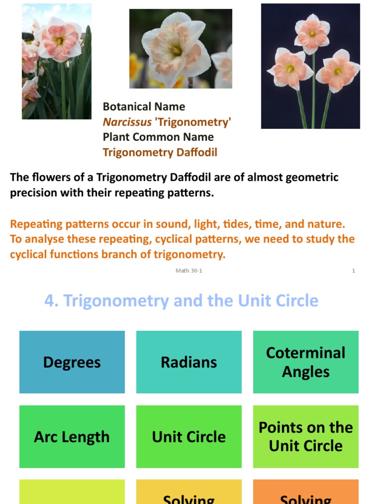 Trigonometry in Nature: Analyzing the Repeating Patterns of a ...