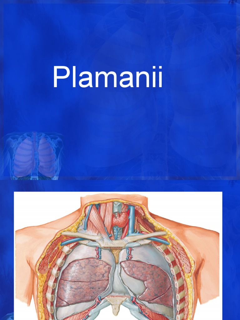 Plamanii Final | PDF
