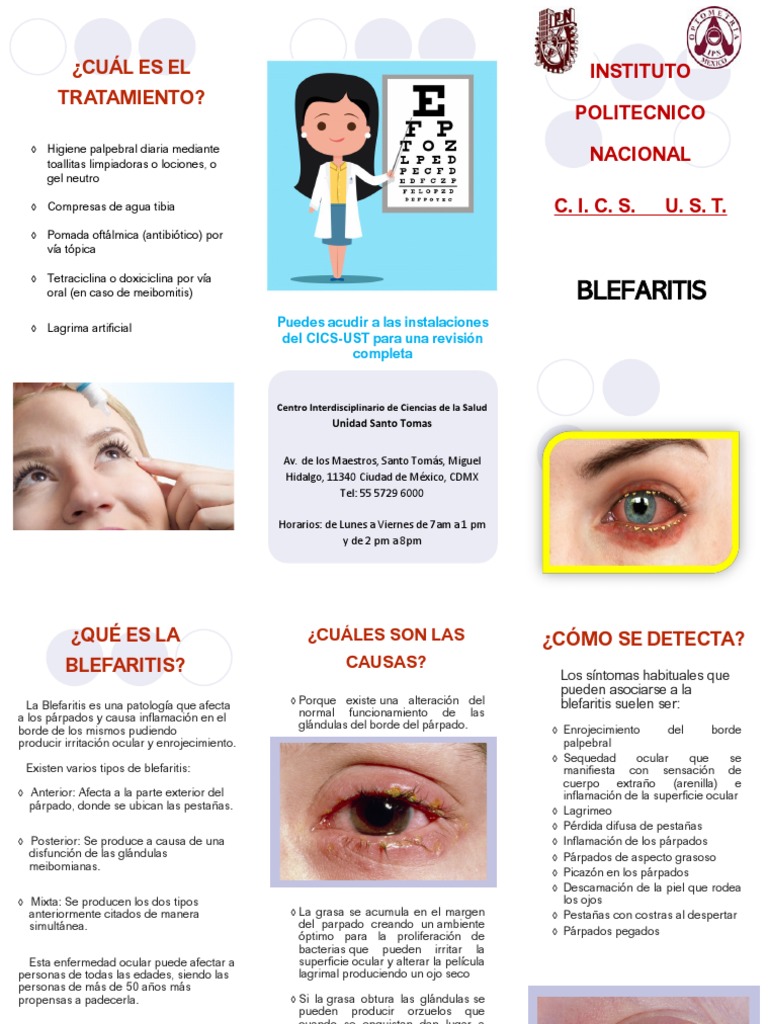Triptico Blefaritis PDF | PDF | Enfermedades y trastornos | Especialidades Medicas