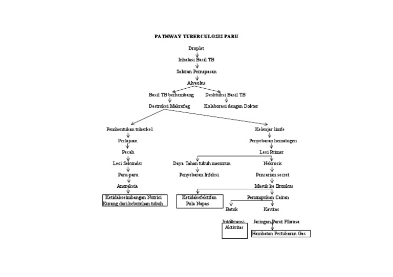 Pathway Tuberkulosis Paru dan Patofisiologi | PDF
