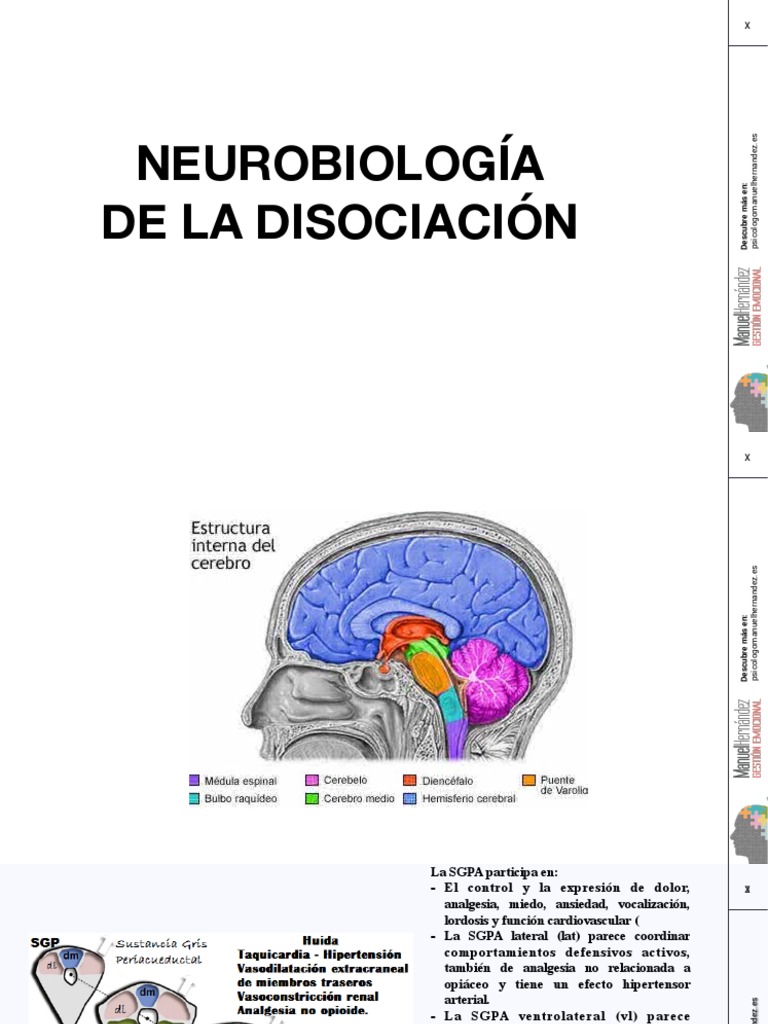 Trauma y Disociación PDF | PDF | Disociación (psicología) | Las emociones