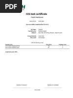 Ces Test Certificate | PDF